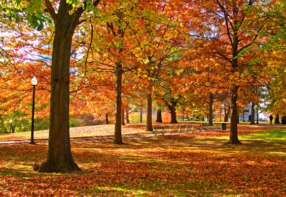 Instead of Mourning the End of Summer Why Not Welcome the Best of the ...